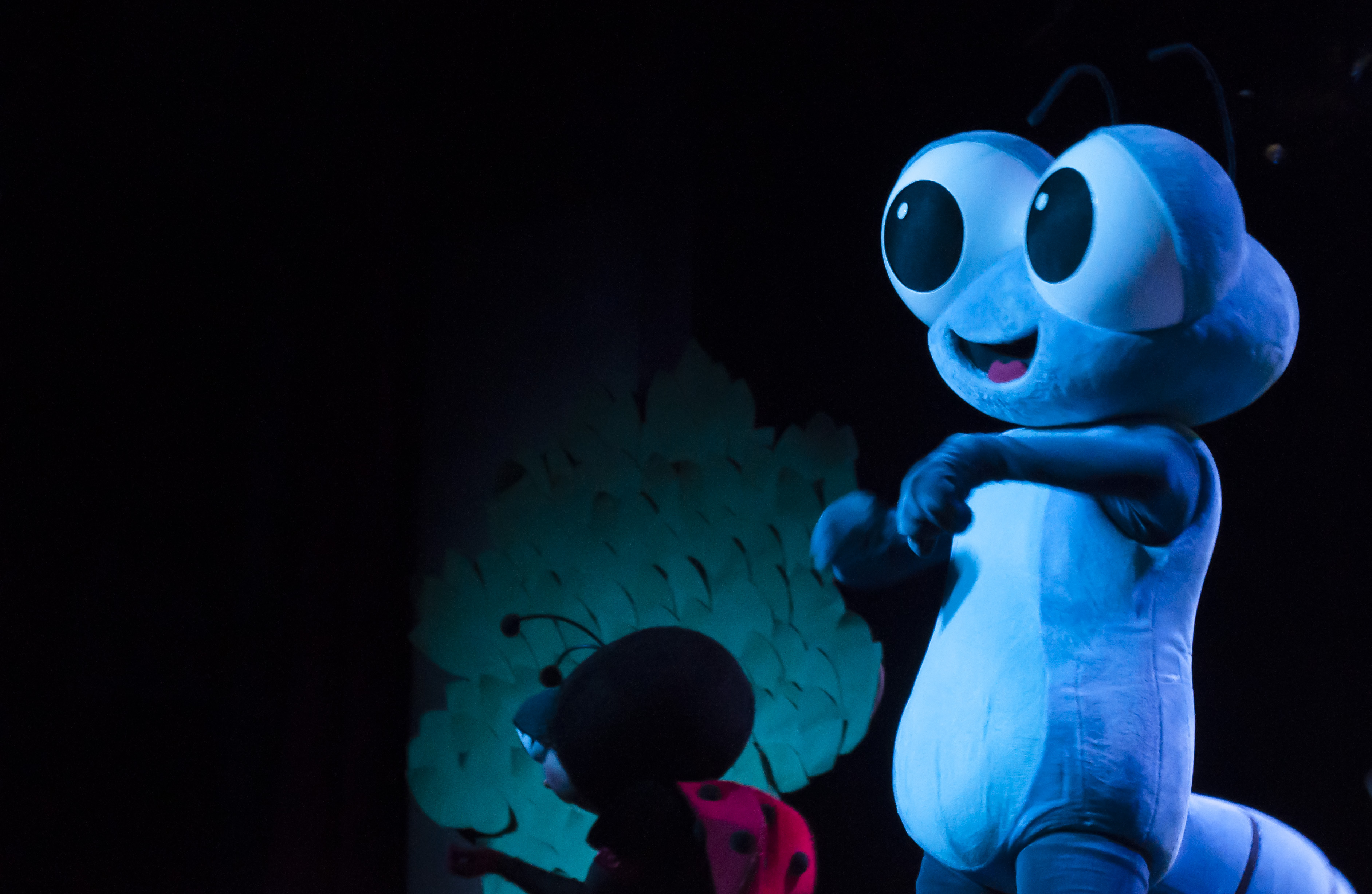 Bob Zoom. Foto - sBusiness (2) - NoSet